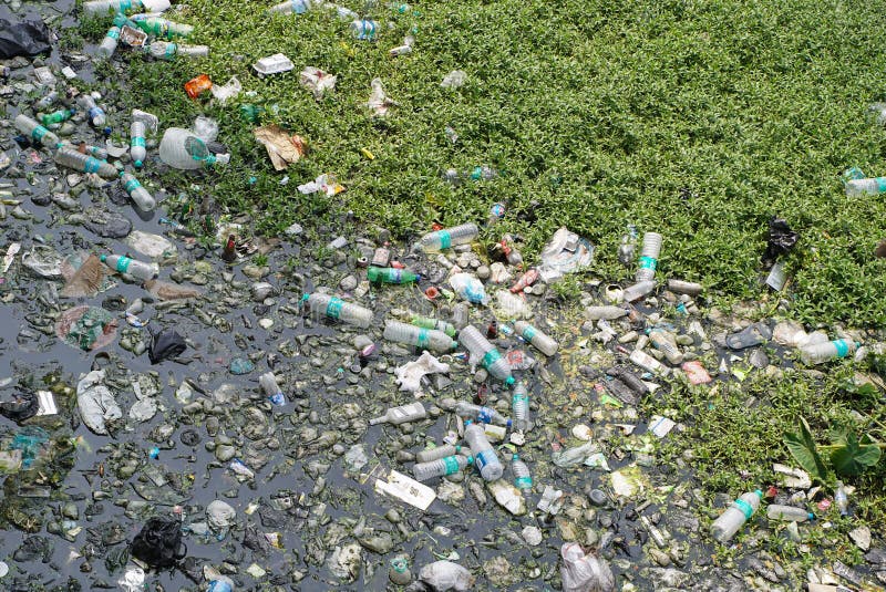 Human Activity is One of the Main Causes of Environmental Pollution ...