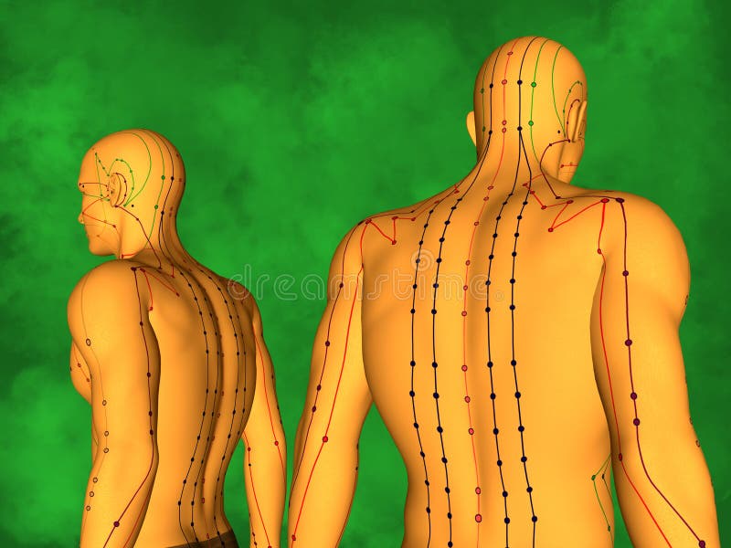 Human Acupuncture Model stock illustration. Illustration of points ...