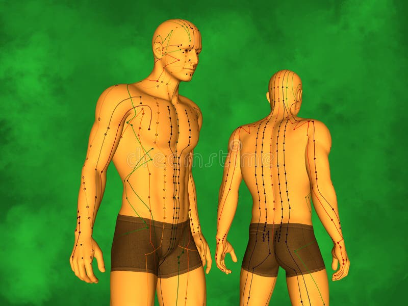 Acupuncture Model M-POSE M4ay-28-5, 3D Model Stock Illustration ...