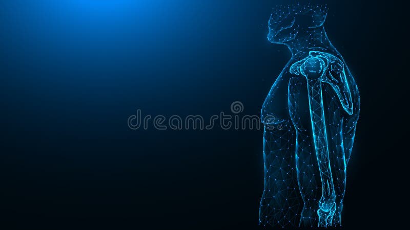 Human Anatomical Model, Shoulder and Elbow Joints Side View Polygonal ...