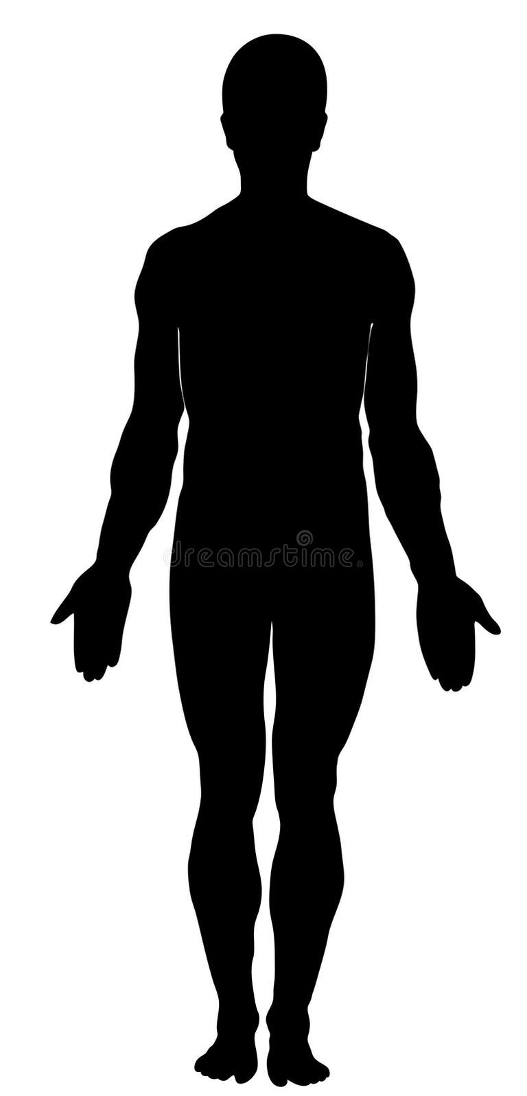 Anatomy Human Silhouette Stock Illustrations – 37,608 Anatomy Human ...