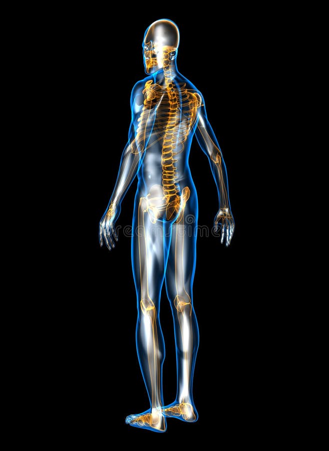 Body Analysis stock illustration. Illustration of diagonists - 5838905