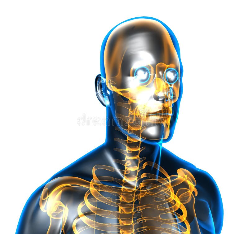 Huma Statue Stock Illustrations – 172 Huma Statue Stock Illustrations ...