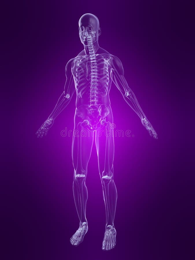 Purple Anatomy Body Stock Illustrations – 3,475 Purple Anatomy Body ...