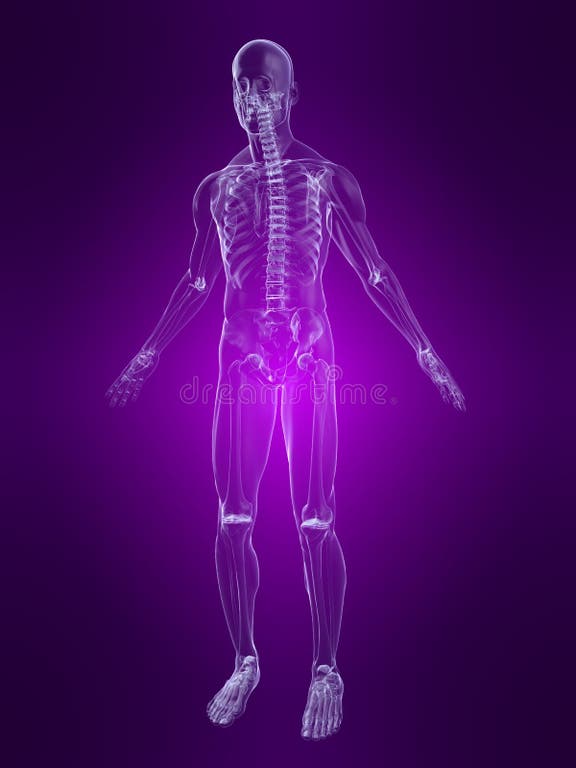 Purple Anatomy Stock Illustrations – 3,190 Purple Anatomy Stock ...