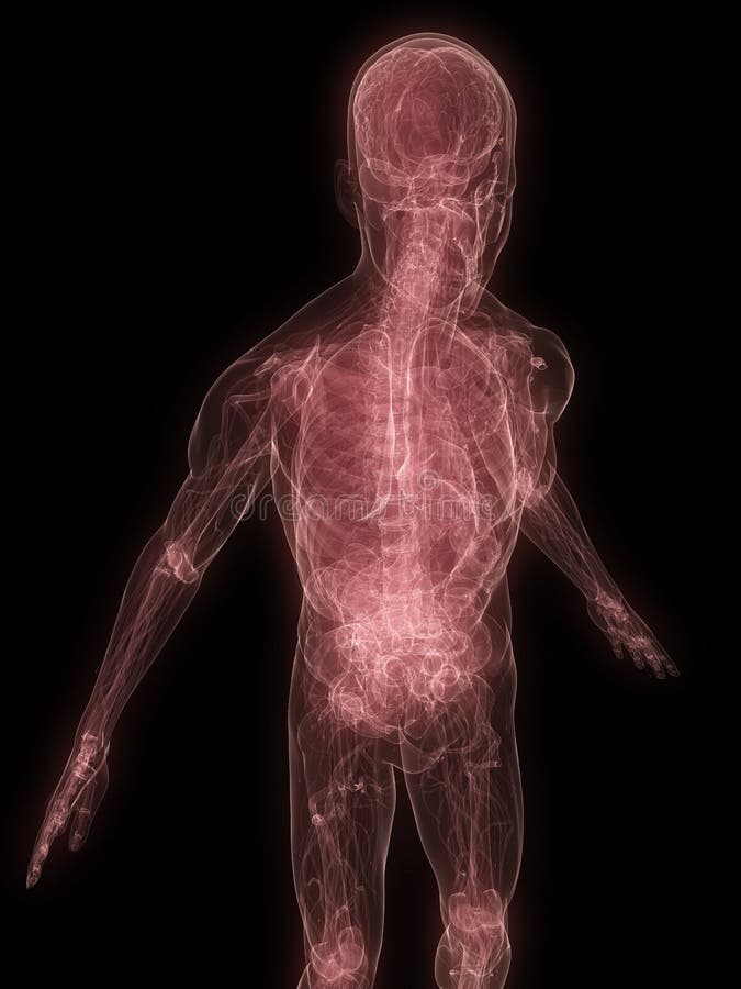 Human transparent brain stock illustration. Illustration of neurology ...