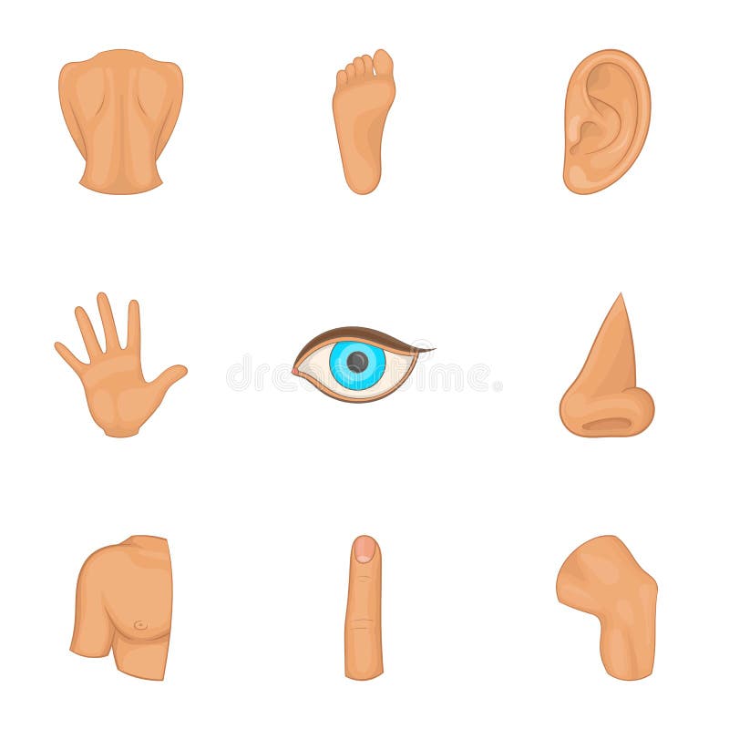 Human Anatomy Icons Set, Cartoon Style Stock Vector - Illustration of ...