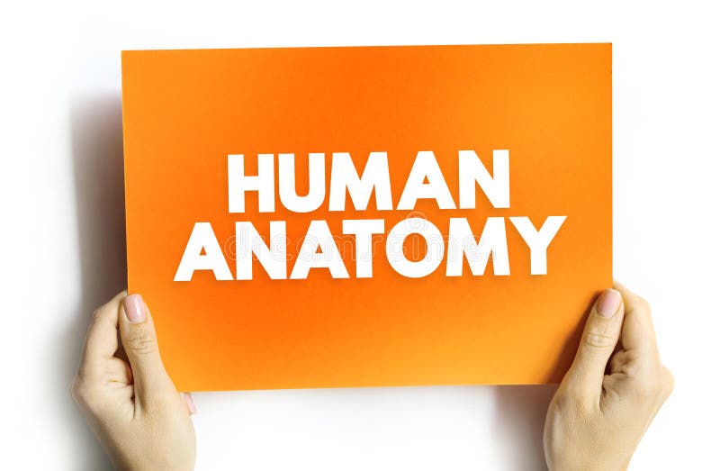 Human Anatomy is the Science that Studies the Structure of the Body ...