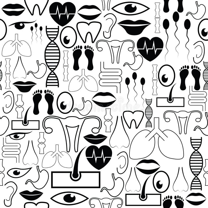 Anatomy Seamless Pattern Background of Human Organ Stock Vector ...