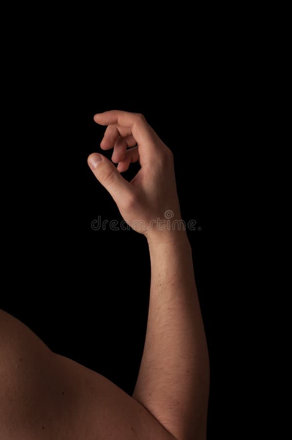 Human anatomy series: hand stock photo. Image of palpatory - 38633968
