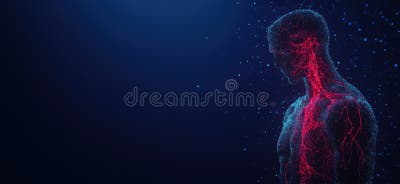 Human Anatomy Visualization with Glowing Vascular System in Digital Art ...