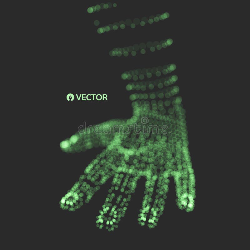 Human Arm. Human Hand Model. Hand Scanning Stock Vector - Illustration ...