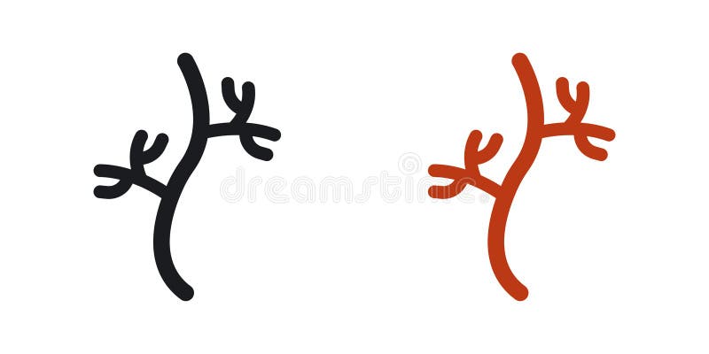 Human artery icon vector stock vector. Illustration of artery - 348158421