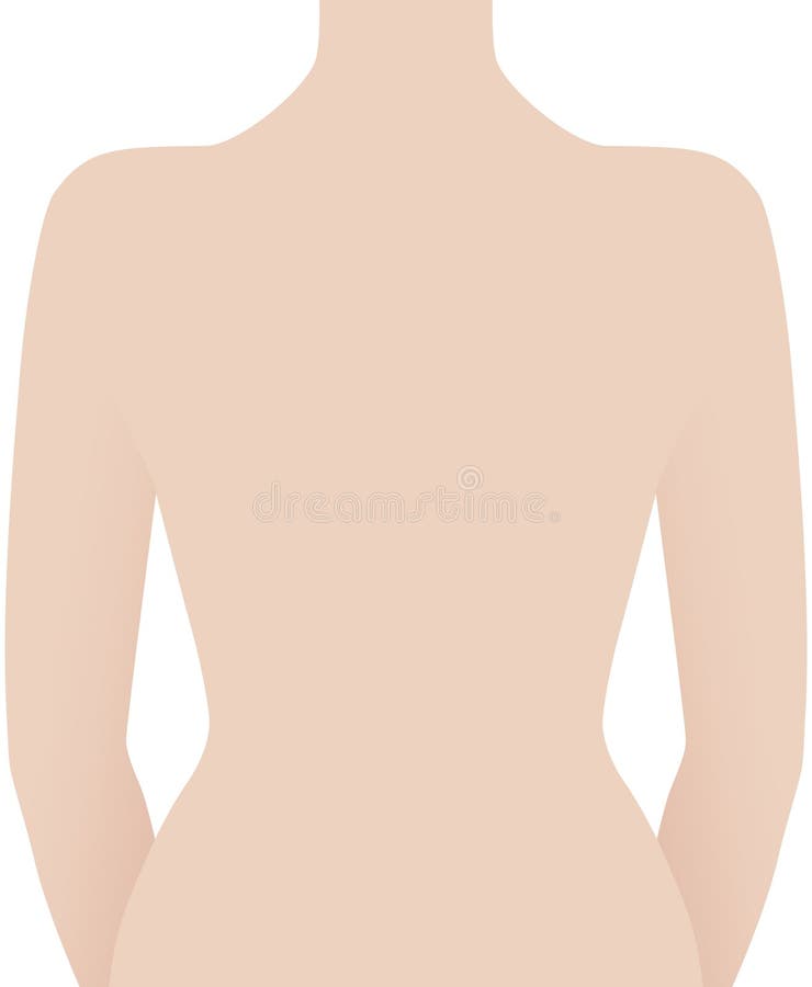Human Back. Vector Illustration Stock Vector - Illustration of beauty ...
