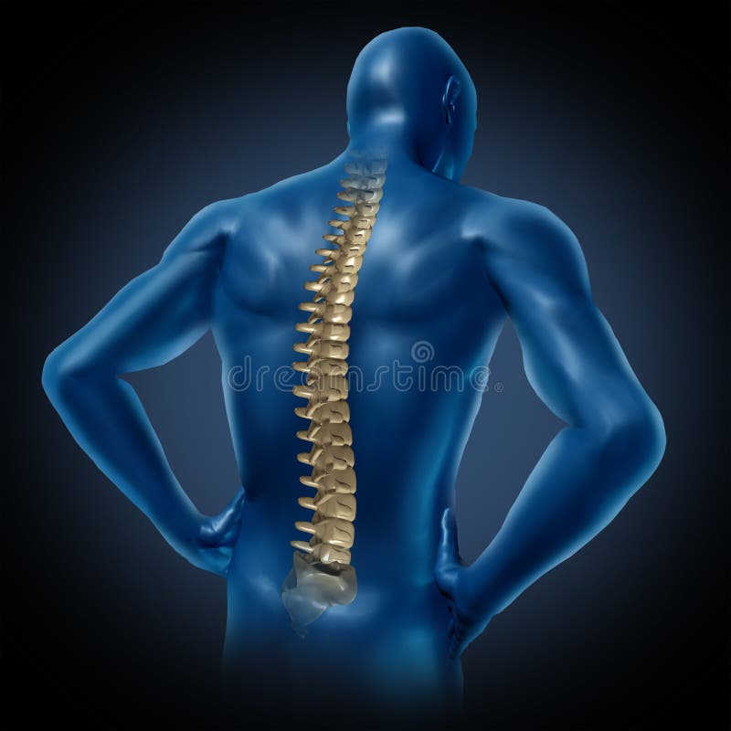 Human back spine posture stock illustration. Illustration of bones ...