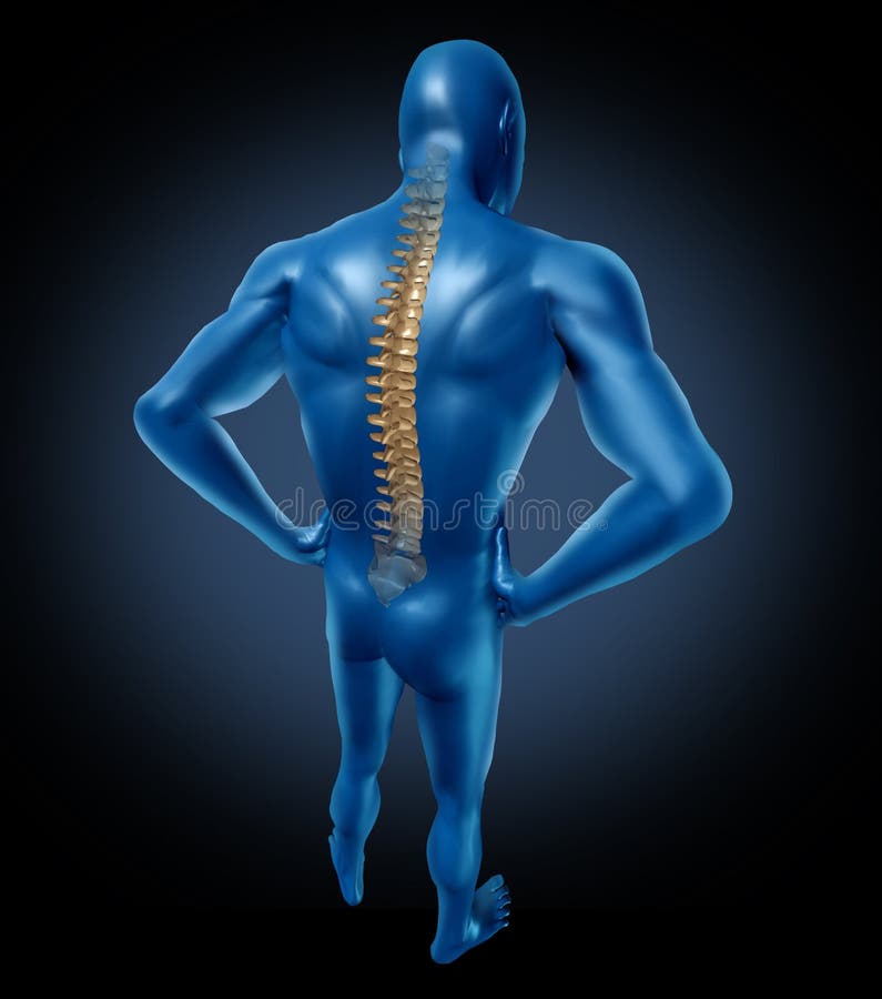 Human back spine posture stock illustration. Illustration of atrophy ...