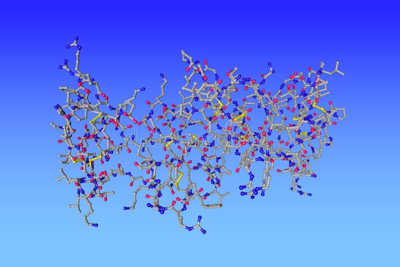 Human Beta-defensin-2. Molecular Model. Rendering Based on Protein Data ...