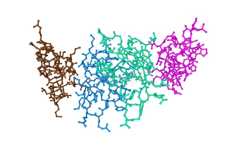 Human Beta-defensin-2. Molecular Model. Rendering with Differently ...