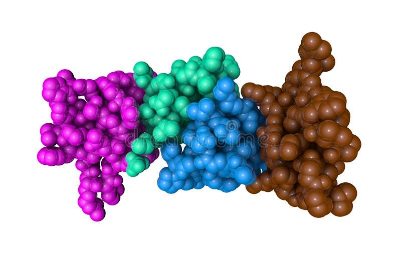 Human Beta-defensin-2. Rendering with Differently Colored Protein ...
