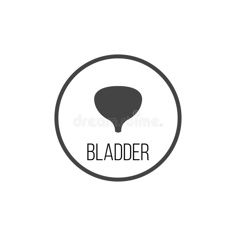 Human Bladder Icon . Simple Illustration of Human Bladder Vector Icon ...