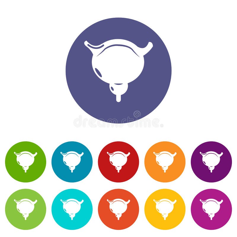 Human Bladder Icon , Simple Style Stock Vector - Illustration of ...