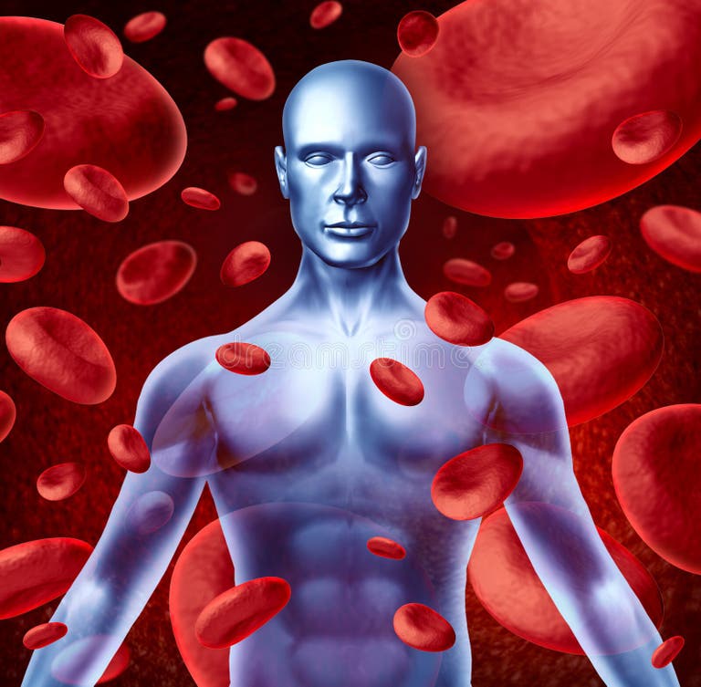 Human Blood Circulation Stock Illustrations – 13,051 Human Blood ...