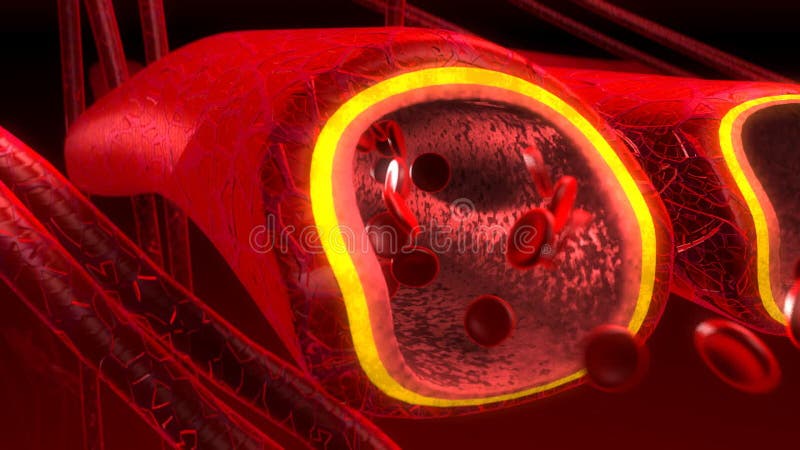 Human Blood Cells Flowing through Veins Animation: Red and White Blood ...