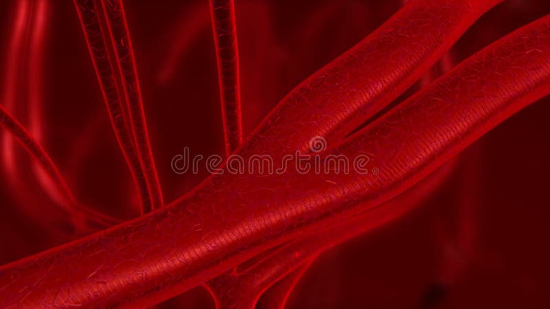 Human Blood Cell Bubble Flowing Seamless Motion Background Stock ...