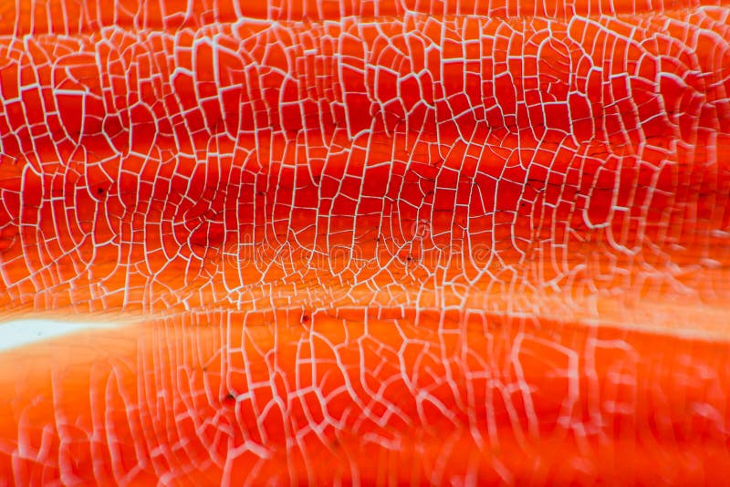 Human blood background stock photo. Image of cell, isolated - 154377316