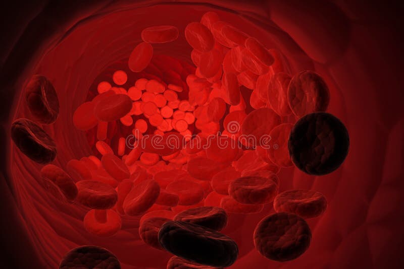 Human blood cells stock illustration. Illustration of cells - 49860711