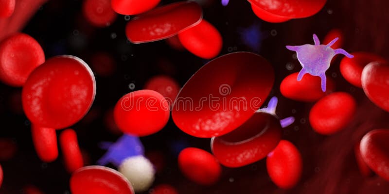 The human blood stock illustration. Illustration of organic - 162295514
