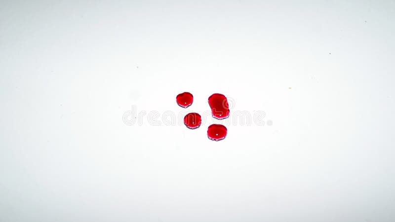 Human Blood, Four Drops on a White Background Stock Photo - Image of ...