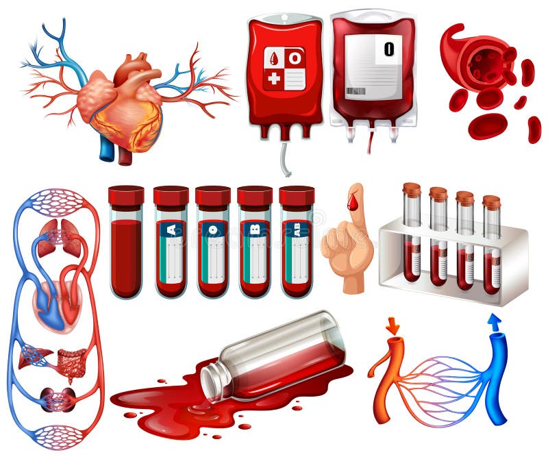 Vector. Cartoon Human Organs, Which Runs The Medicine. Stock Vector ...