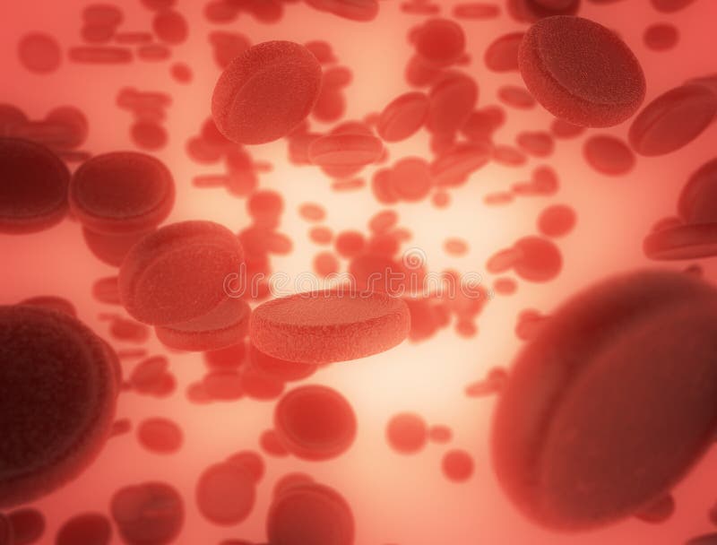 Human Blood vessels stock illustration. Illustration of render - 51189127