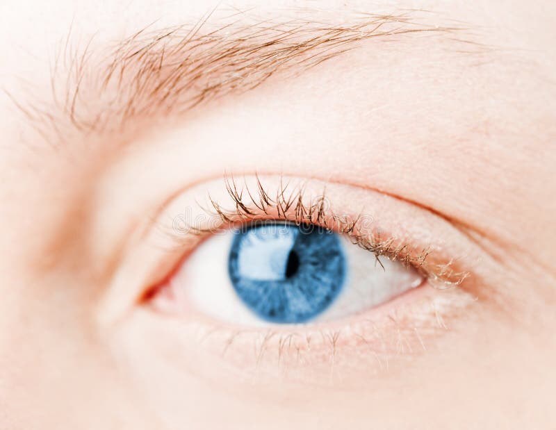 Human blue eye. stock photo. Image of closeup, peace - 29022210