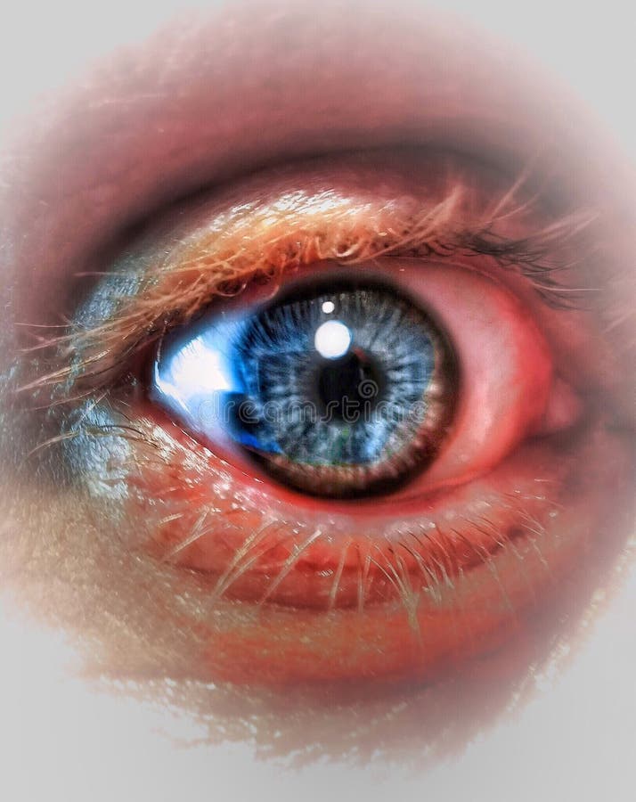 Blue eye stock image. Image of human, close, blue - 162939367