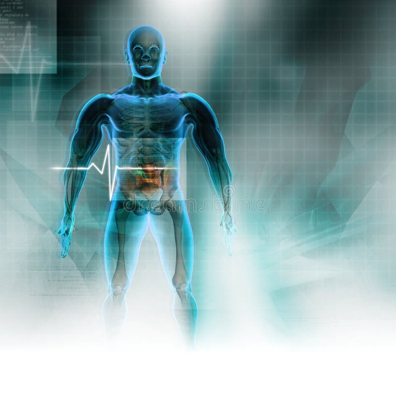 Human body stock illustration. Illustration of digitally - 37076908