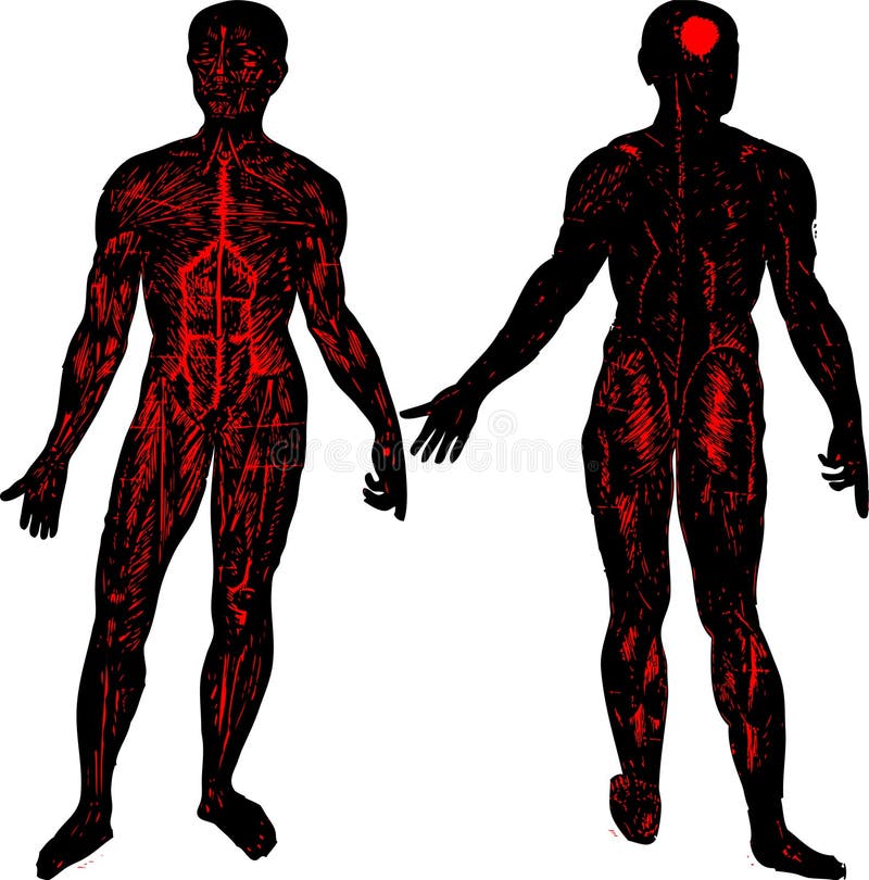 Human weak joints stock vector. Illustration of body - 81967429