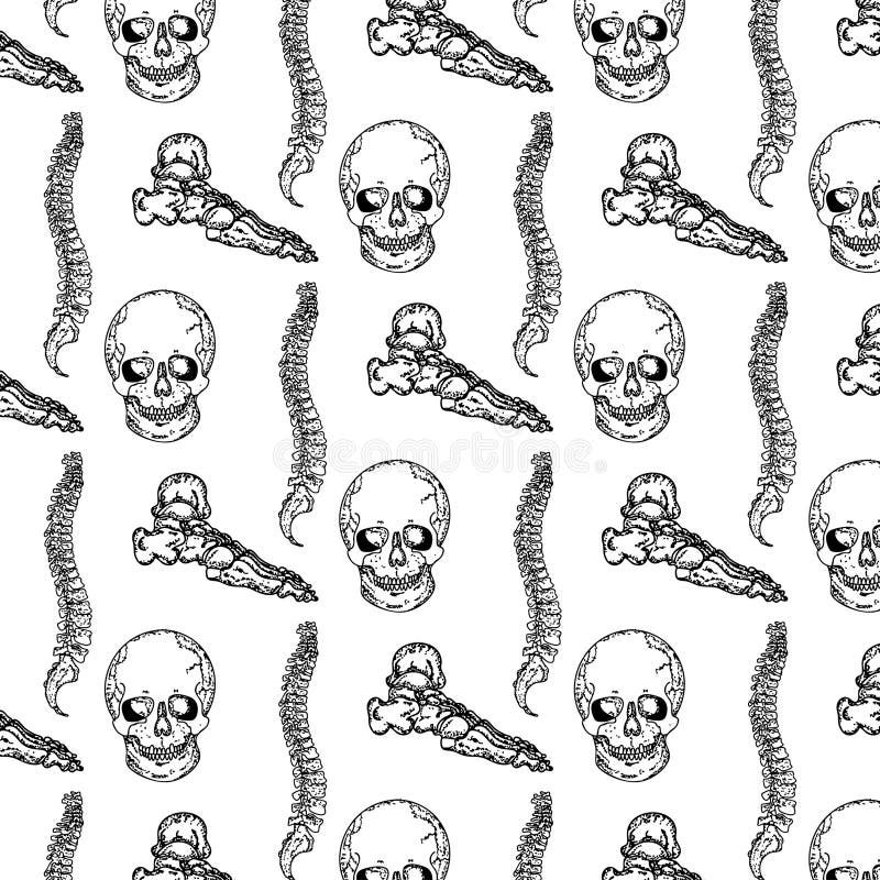 Human Body Anatomy Elements Seamless Pattern Stock Vector ...