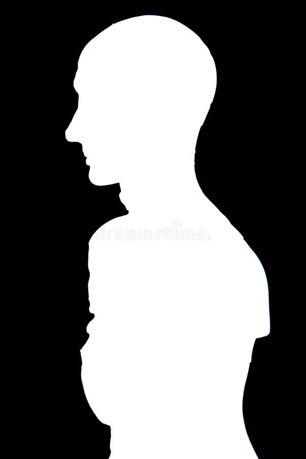 Human Body Anatomy Model Silhouette Stock Illustration - Illustration ...