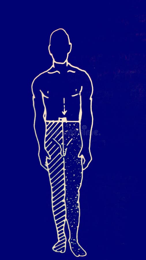 Contour of Human body stock illustration. Illustration of human - 124523083