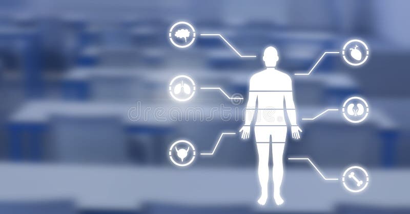 Human Body Chart and Classroom Stock Illustration - Illustration of ...