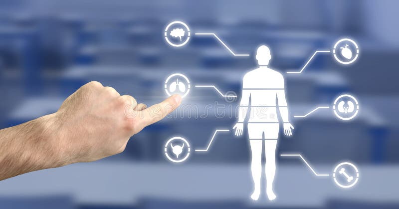 Human Body Chart and Hand Touching Stock Image - Image of education ...