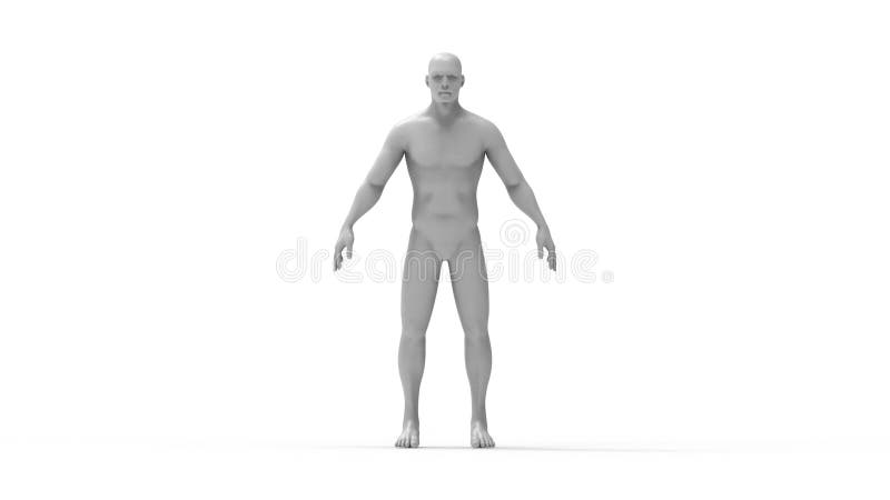 Blank Muscles Figure Stock Illustrations – 50 Blank Muscles Figure ...