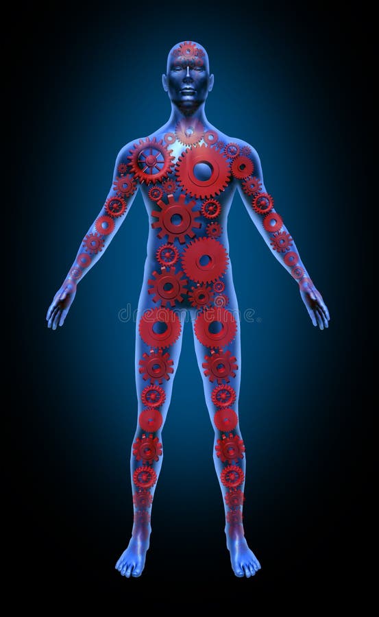 Human Body Function Red Gears Health Care Medical Stock Illustration ...
