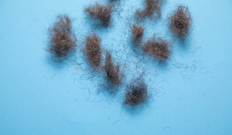 Human Body Hair on the Blue Background Stock Image - Image of care ...