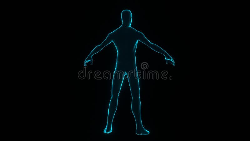 Human Body. Human Model Illustration. Bioengineering and Medical ...