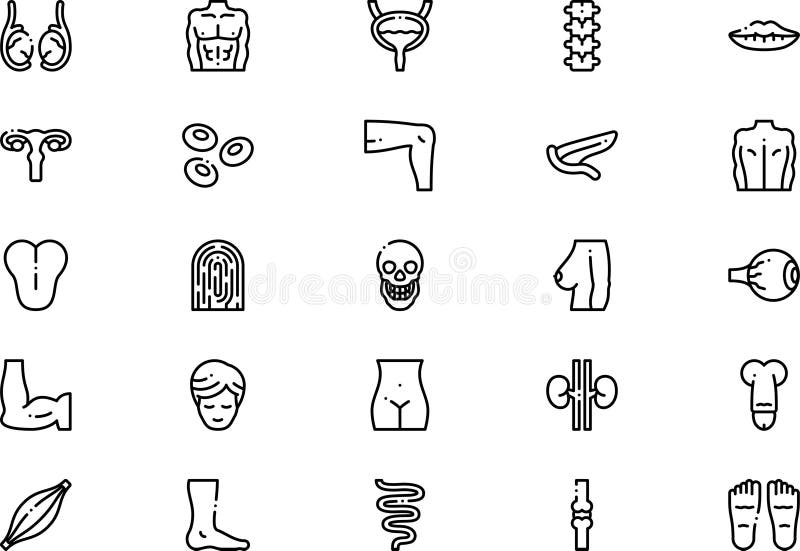Human Body Icons Collection is a Vector Illustration with Editable ...