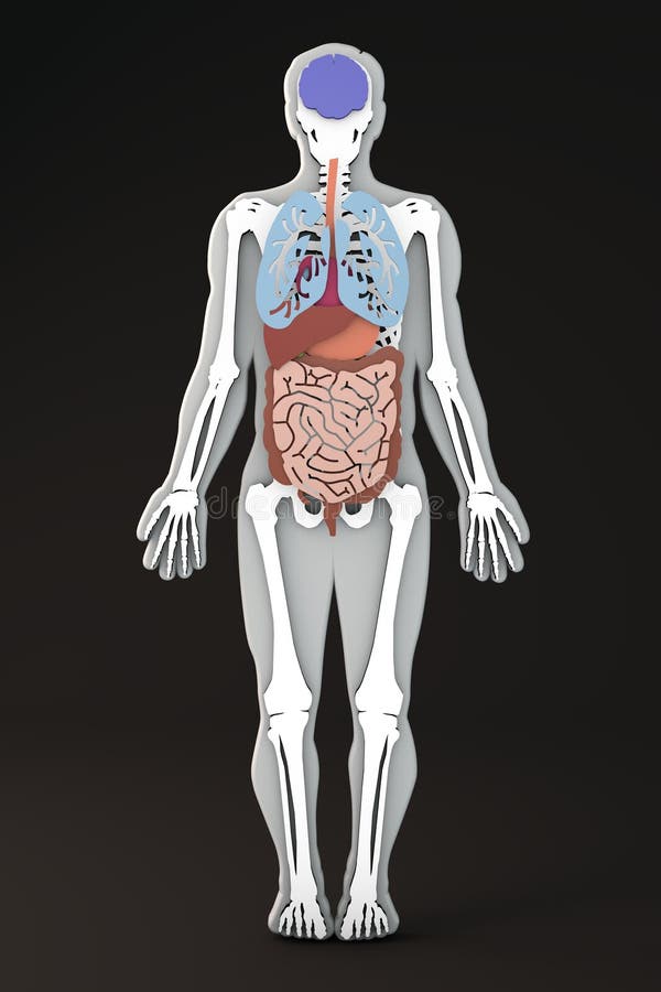Internal Cut Stock Illustrations – 2,194 Internal Cut Stock ...