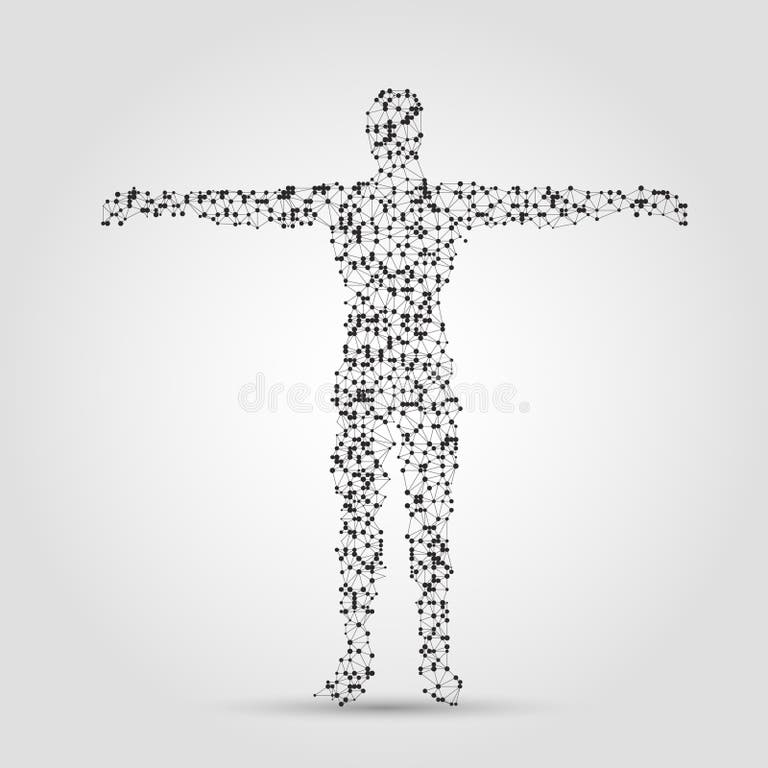 Human Body Made of Dots and Lines. Stock Vector - Illustration of human ...